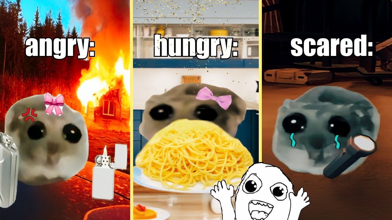 Sad Hamster Meme (Fresh Version, Part 2) - YouTube