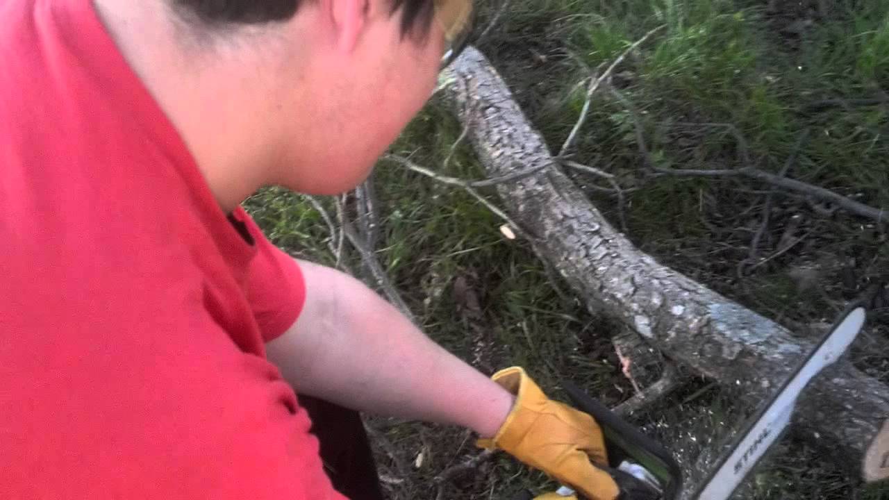 Cutting pecan wood - YouTube