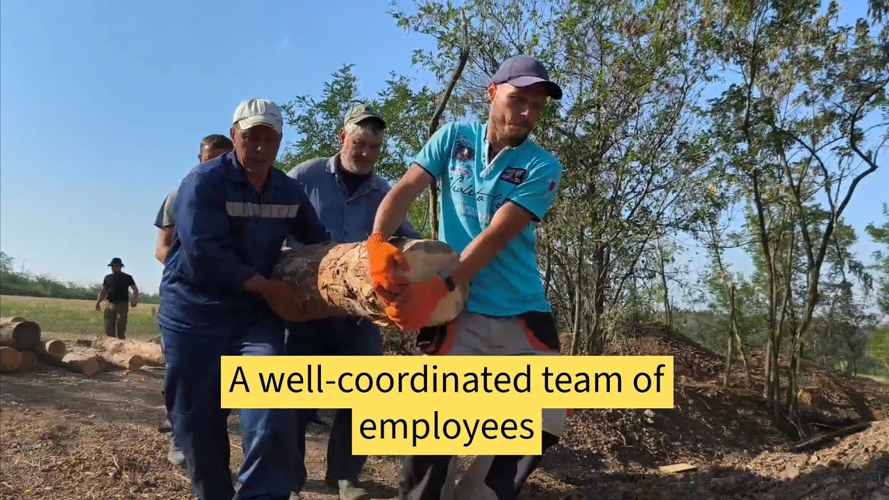 A well-coordinated team of employees - YouTube