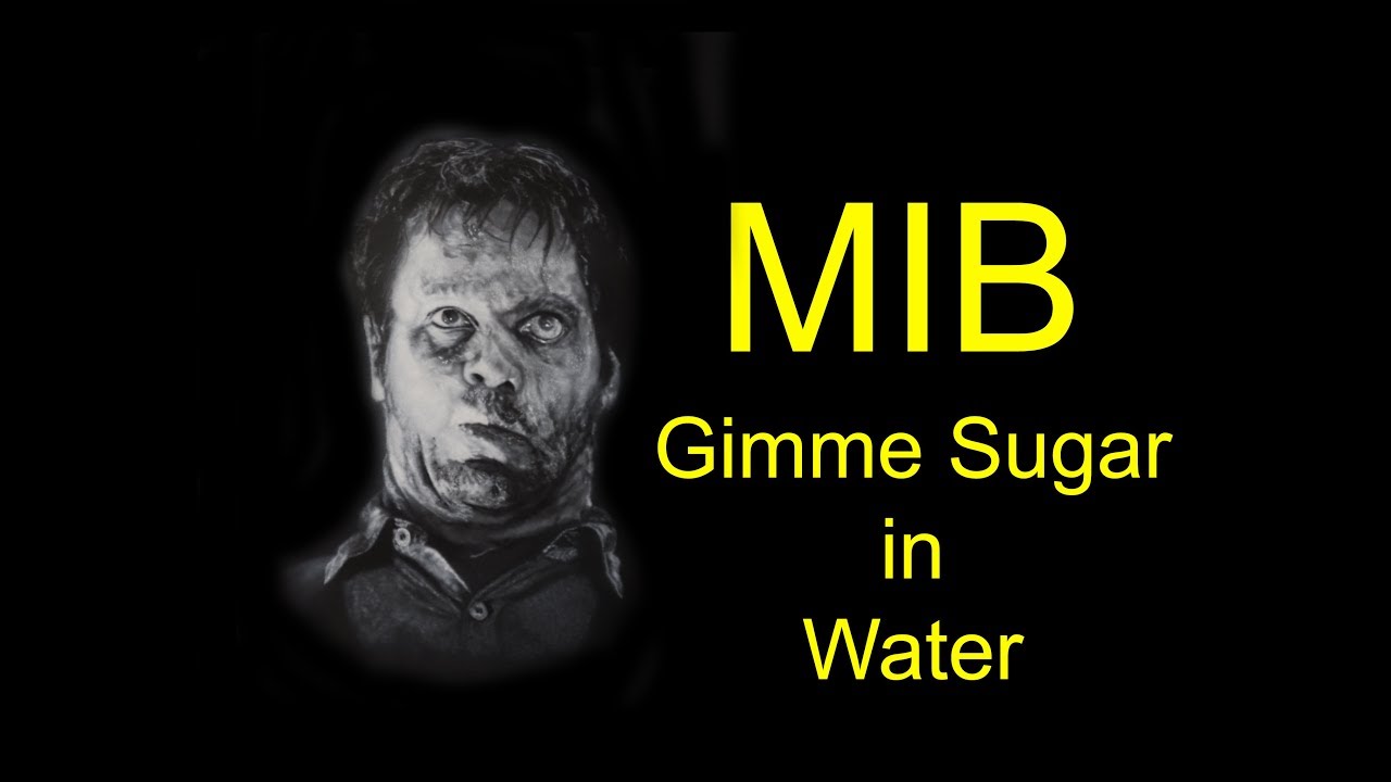 MIB - Edga r- More Sugar - The steps I took.. - YouTube