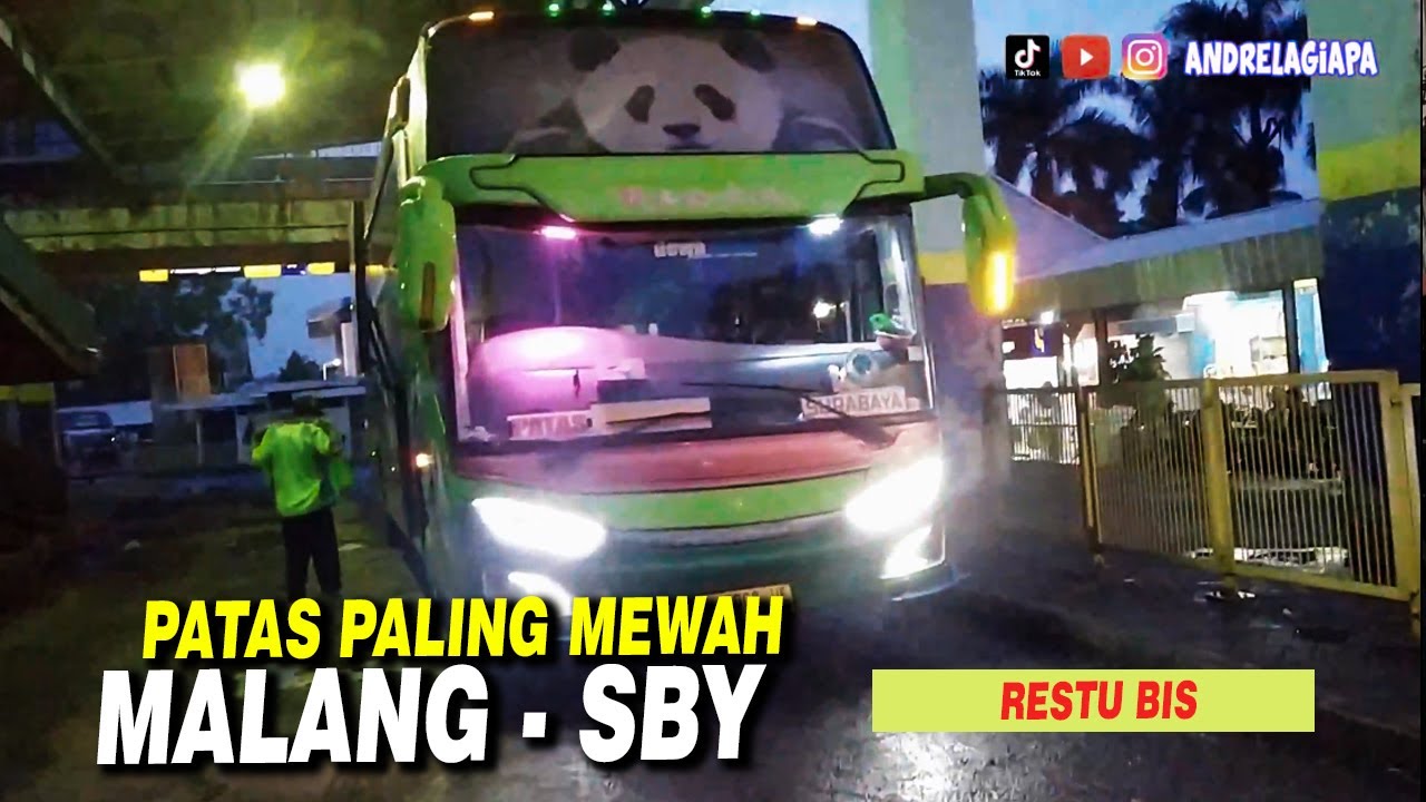 BIS MALANG SURABAYA PALING ENAK? | TRIP REPORT BUS RESTU PANDA MALANG ...