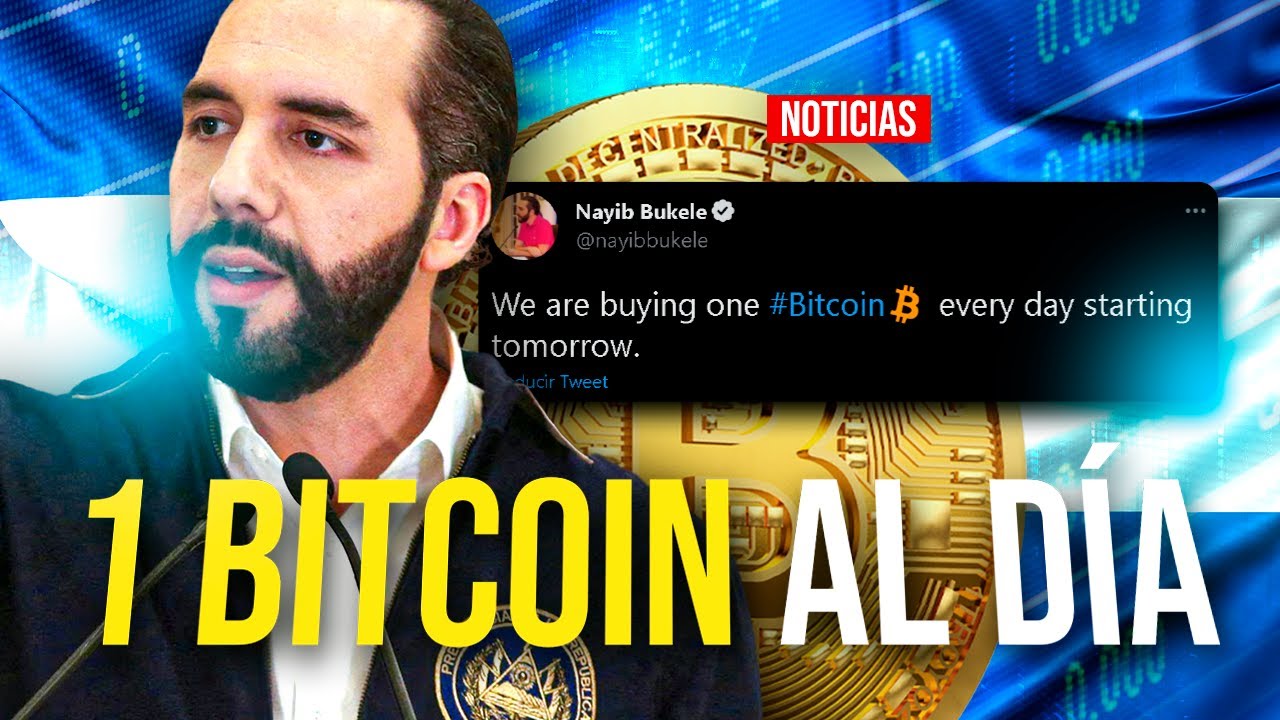 🟢 NAYIB BUKELE comprará 1 BITCOIN al DÍA 🟢 luego del COLAPSO de FTX | Cripto Avances - YouTube