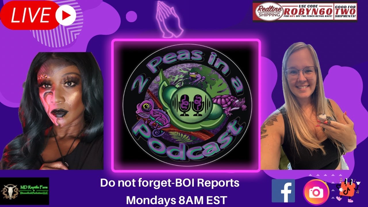 Two Peas In A Podcast EP 106-BOI Report - YouTube