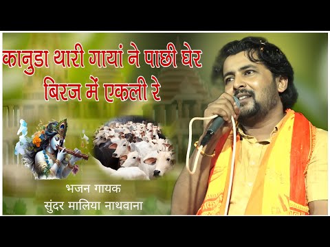 कानुड़ा थारी गायां‌ ने पाछी घेर बिरज में एकली रे || by - sundar maliya nathwana || new bhajan 2025..