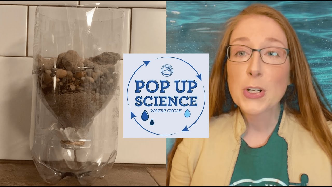 Pop Up Science: The Water Cycle! - YouTube