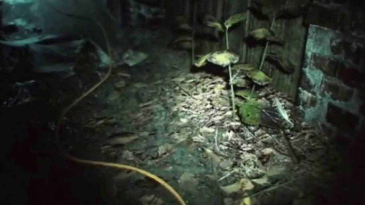 Resident Evil 7 New CEDEC Environmental screens. - YouTube