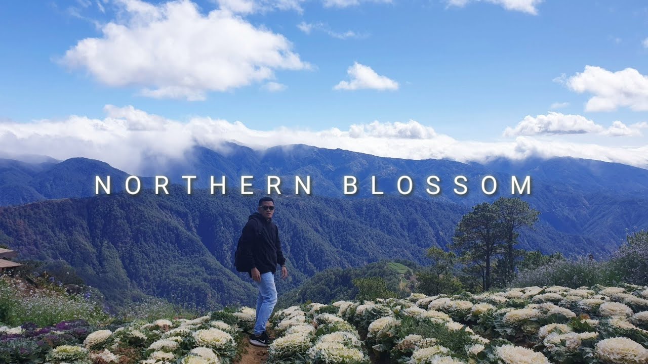 NORTHERN BLOSSOM FLOWER FARM (1 minute video) - YouTube