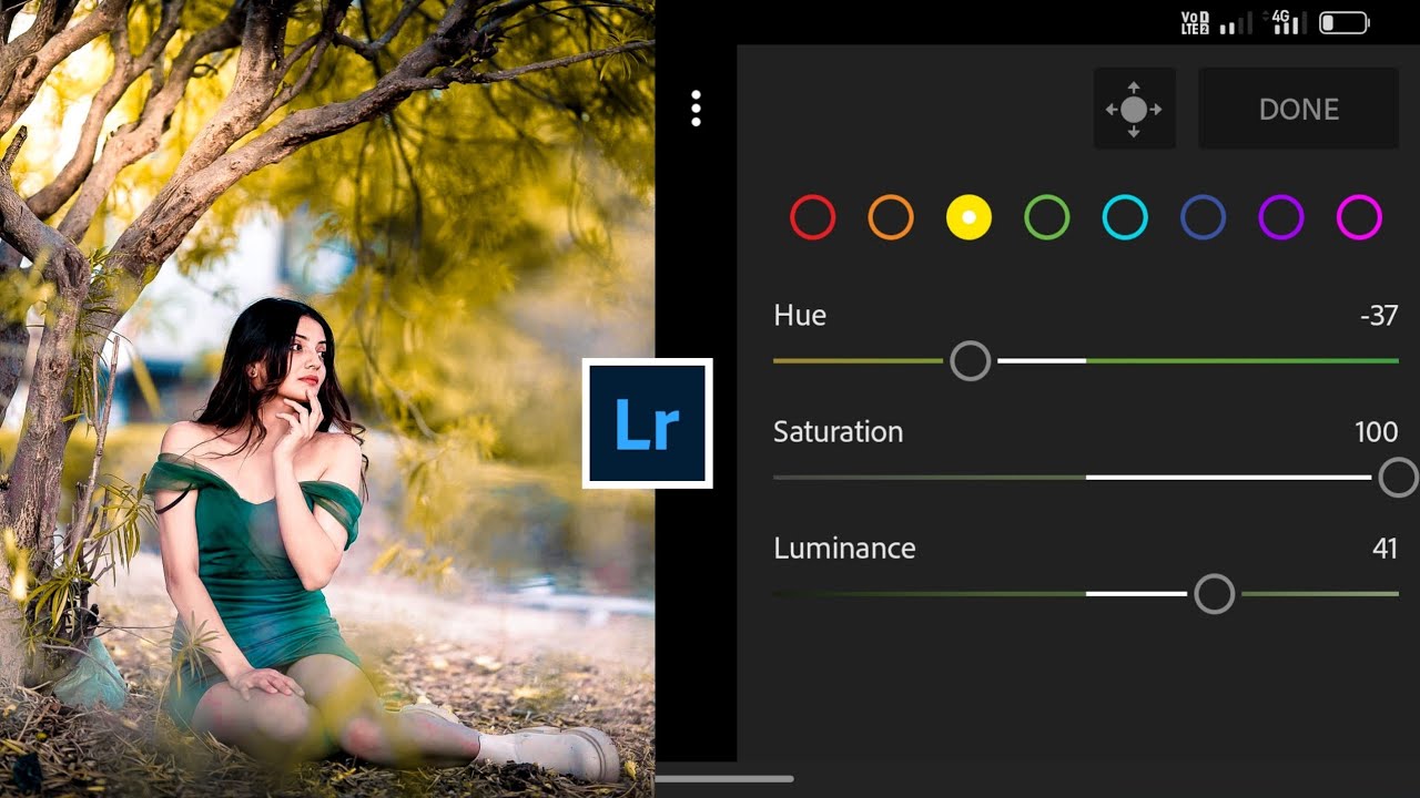 Yellow Tone colour change photo Editing Lightroom/Lightroom se photo ...