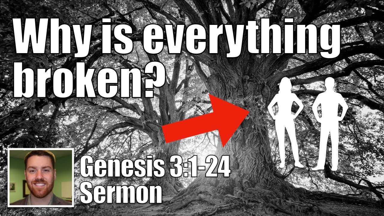 Why is everything broken? | Genesis 3:1-24 (The Genesis of God's People ...