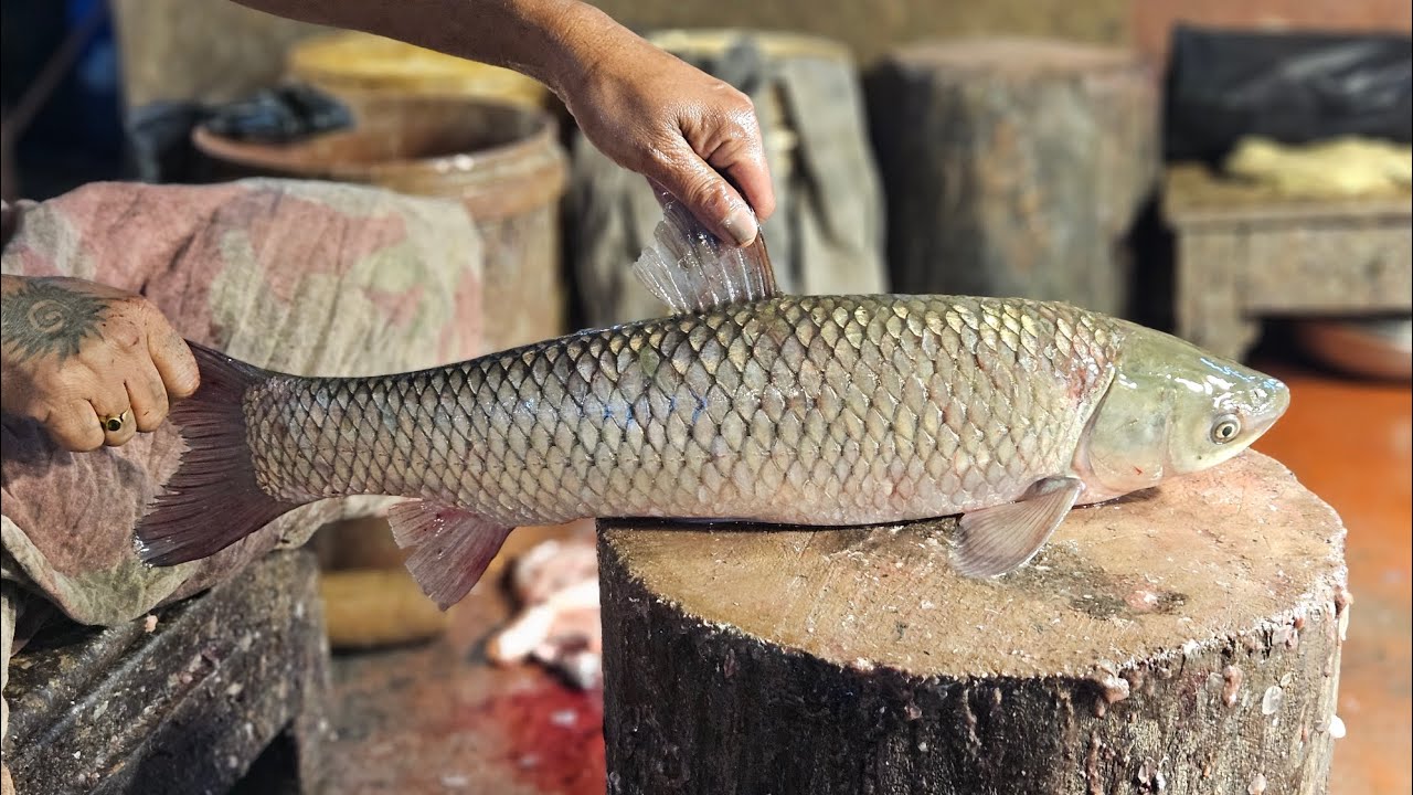Ctg Cutting Fisher for(Chowk Bazar) 3kg galous cup fish big fish Fish ...