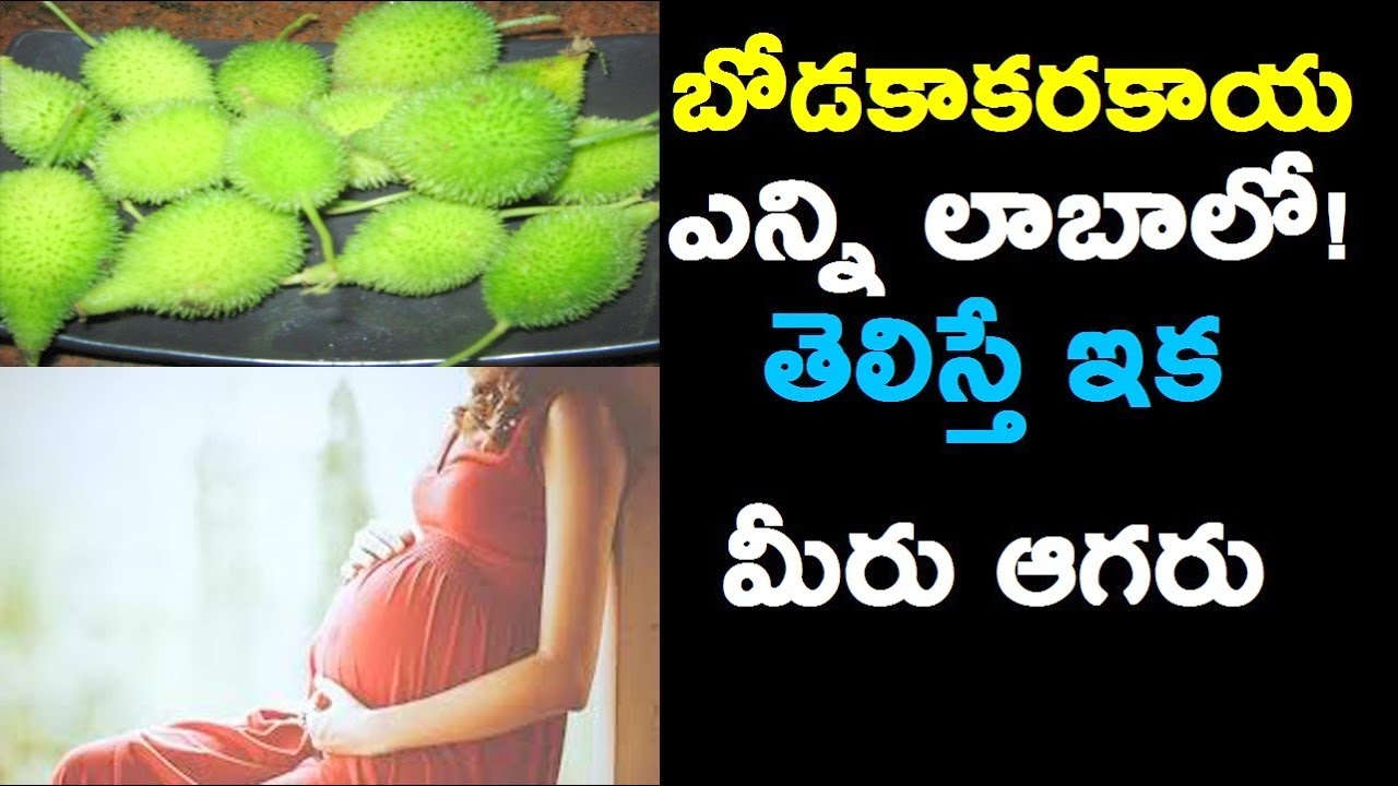 Amazing health benefits of Aakakarakaya | Teasel Gourd |Ttube Telugu ...