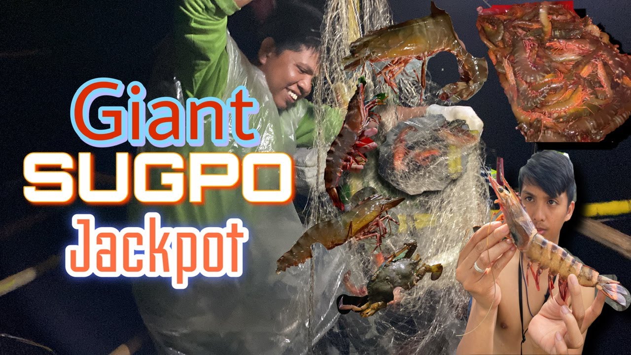 JACKPOT SA PANGHUHULI NG SUGPO | GIANT PRAWNS - YouTube