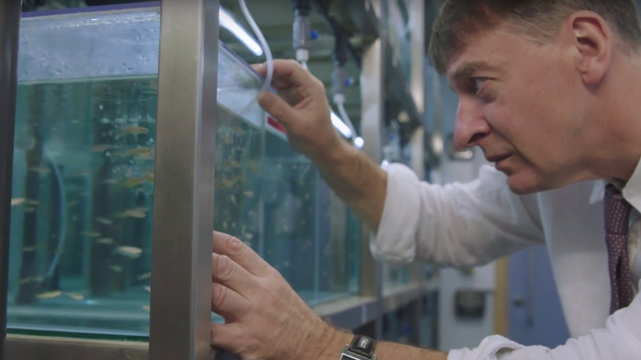 Making the Exceptional Happen - Living Systems - YouTube