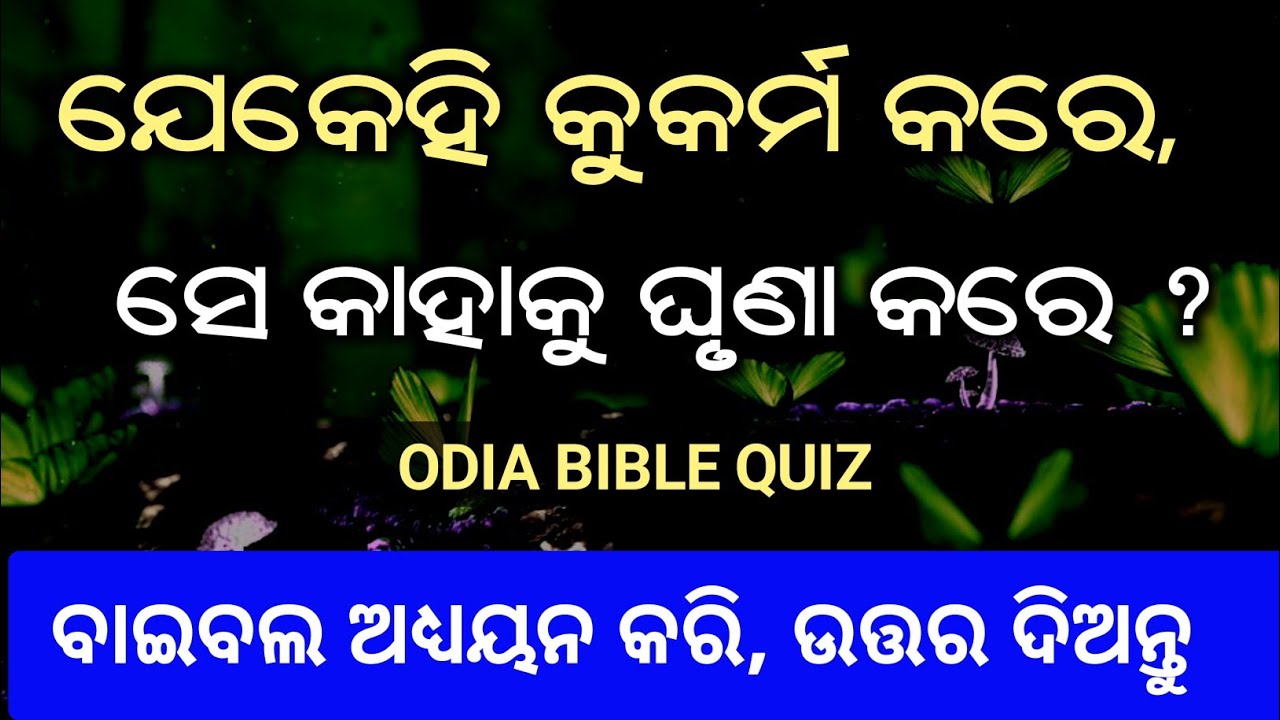  John Chapter 3 Study The Bible