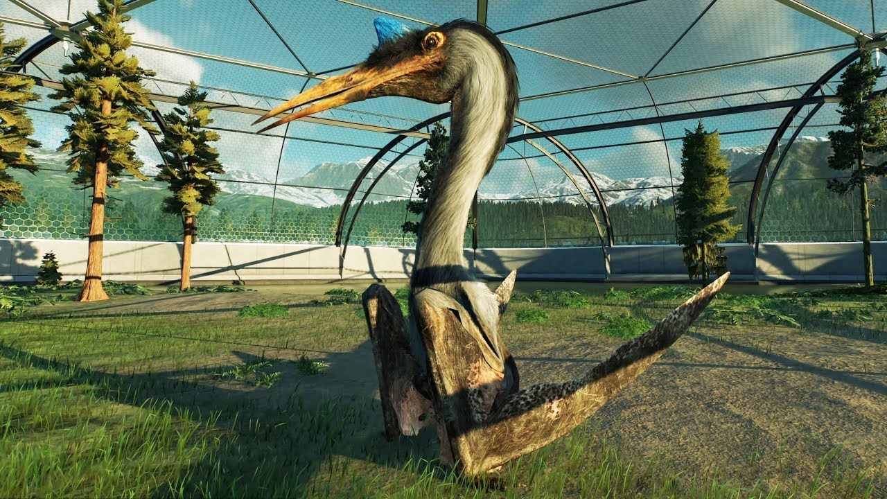 This flyer is an absolute beast (Jwe2 best ecosystem EP6) - YouTube