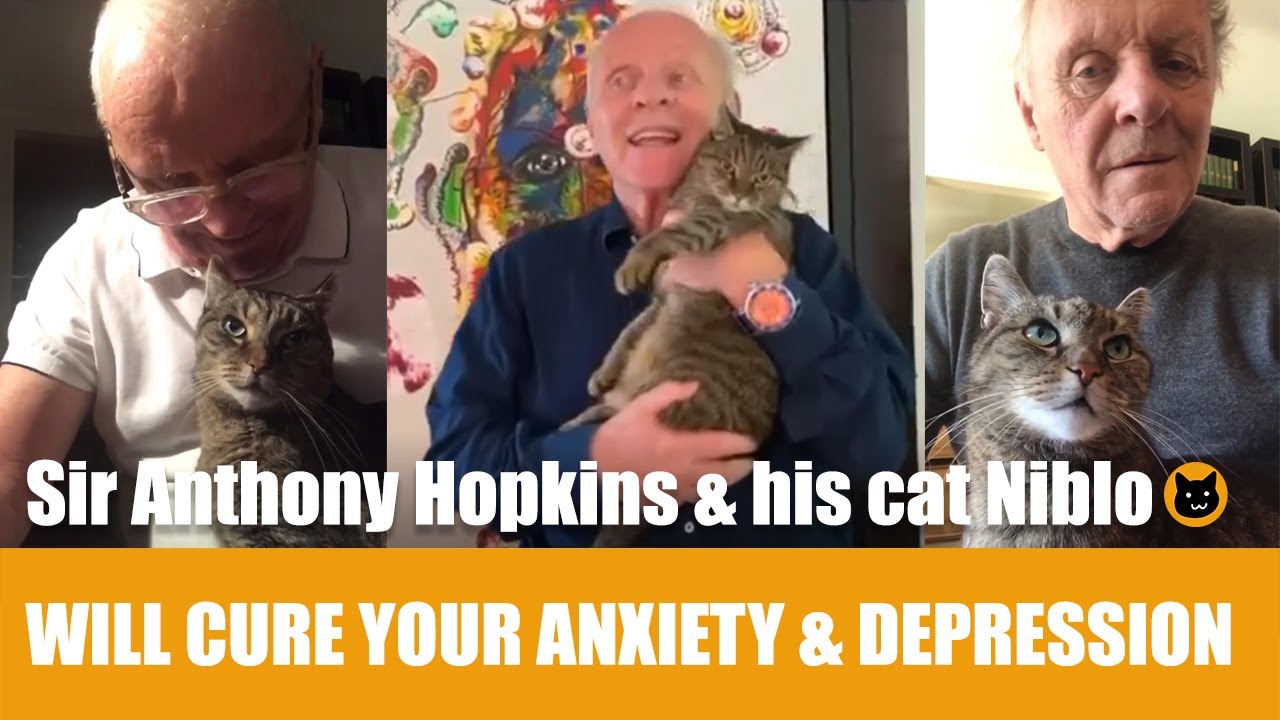 Sir Anthony Hopkins & his cat Niblo will cure your anxiety & depression ...