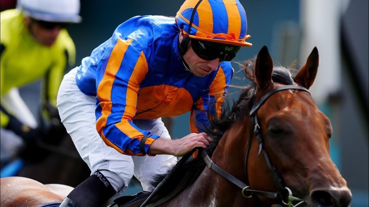 Derby favourite THE LION IN WINTER impressive victory in Acomb Stakes ...