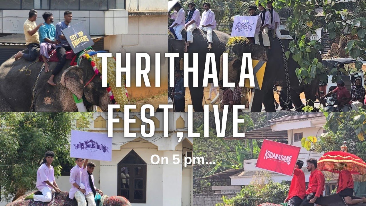 Thrithala Fest,2025... Live on 5pm.. - YouTube