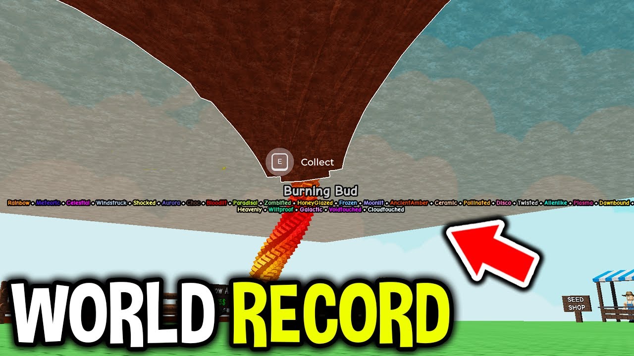 I Grew WORLD RECORD 25 MUTATION GIANT BURNING BUD in Roblox Grow a ...