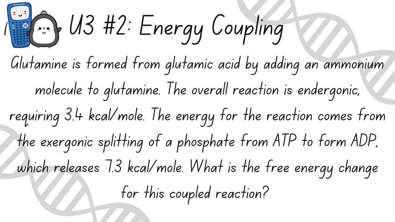 AP Bio Math Minute: Energy Coupling - YouTube