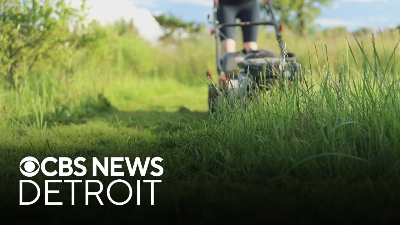 A look into the meaning behind "No Mow May" - YouTube