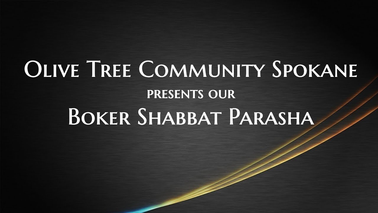 10/22/22 Parasha from OTC Spokane with special guest, Hylan Slobodkin ...