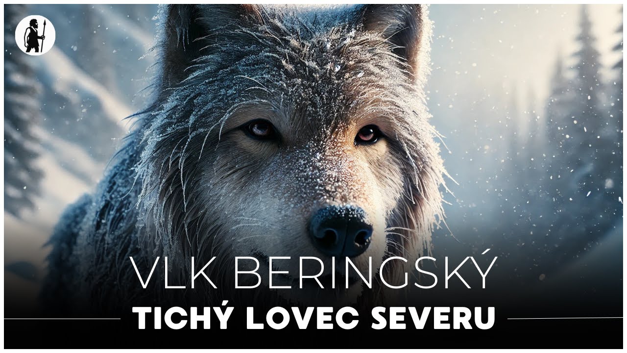 Vlk Beringský: Tichý lovec severu | Dokument - Pravěk | Zvířata - YouTube