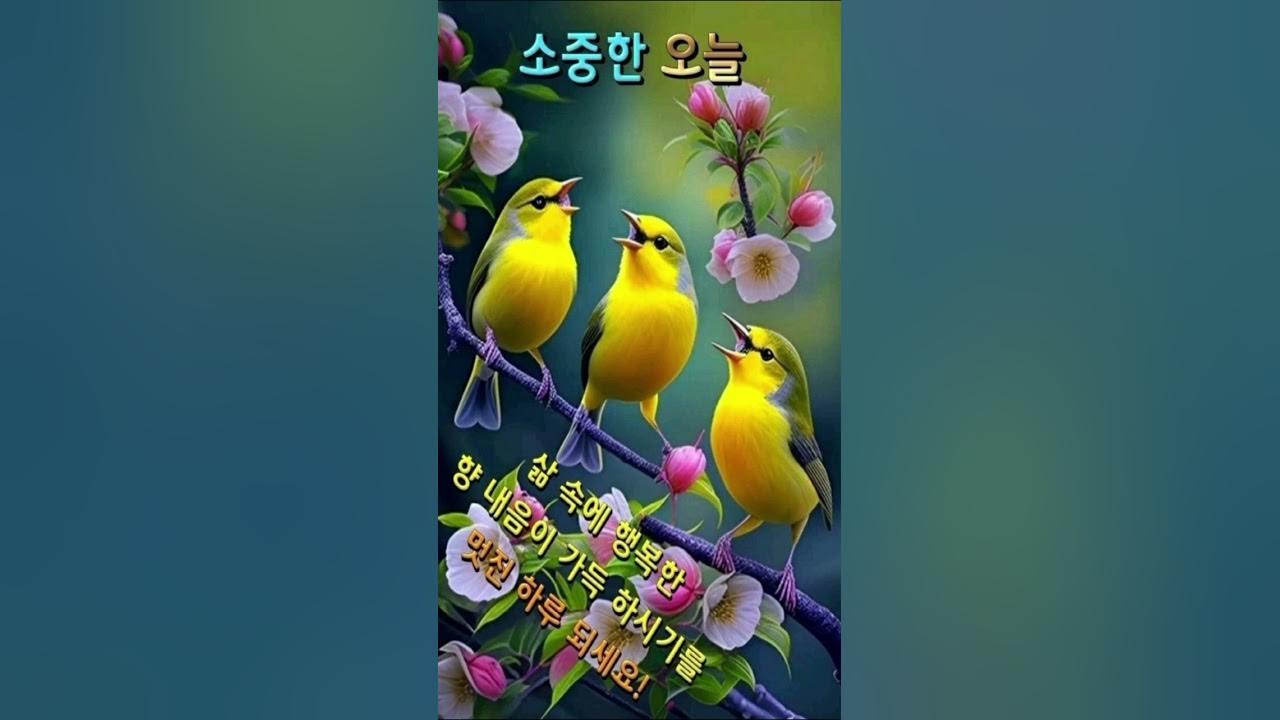 좋은아침 즐겁고 행복한 하루되세요 화이팅 Youtube