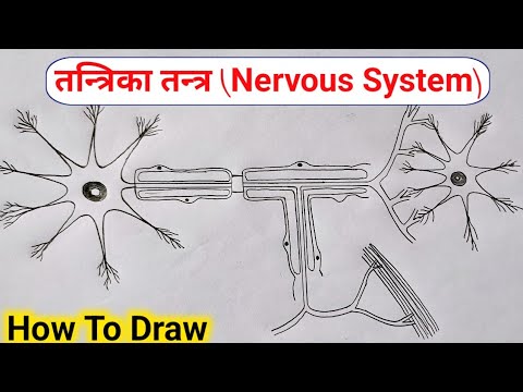 How To Draw Nervous System | Tantrika Tantra ka Chitra kaise Banaen ...