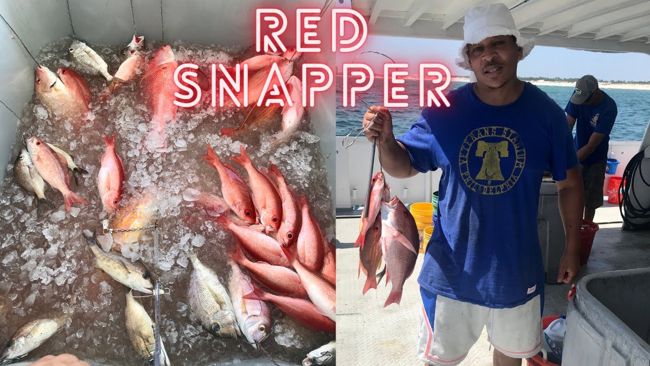 Red Snapper Fishing Panama City Beach Fla. - YouTube
