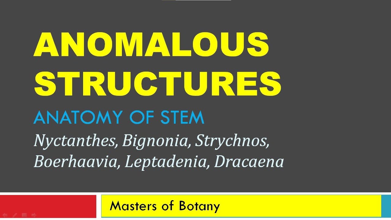 Anomalous Structures | Plant Anatomy | Simple and Easy - YouTube