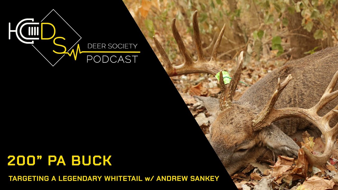 200" PA BUCK | Targeting a Legendary Whitetail w/ Andrew Sankey. - YouTube