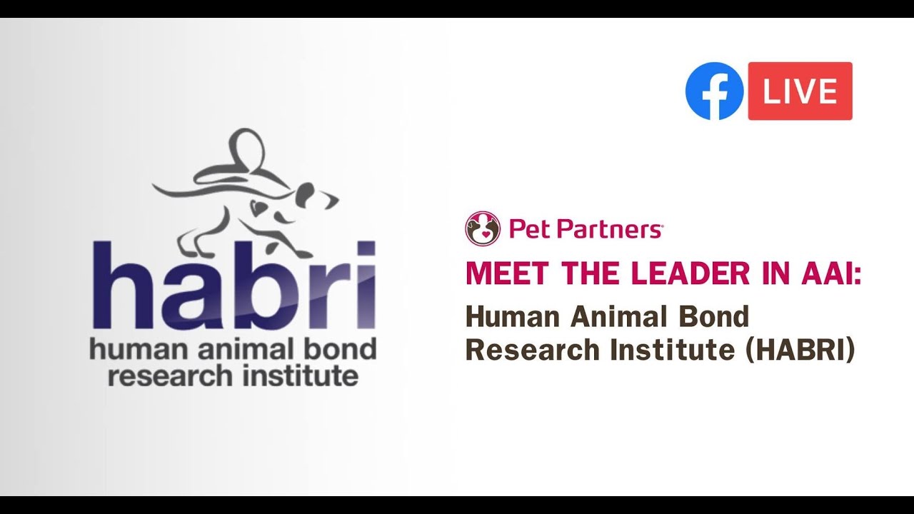 Meet the Leader in AAI: Human Animal Bond Research Institute (HABRI ...