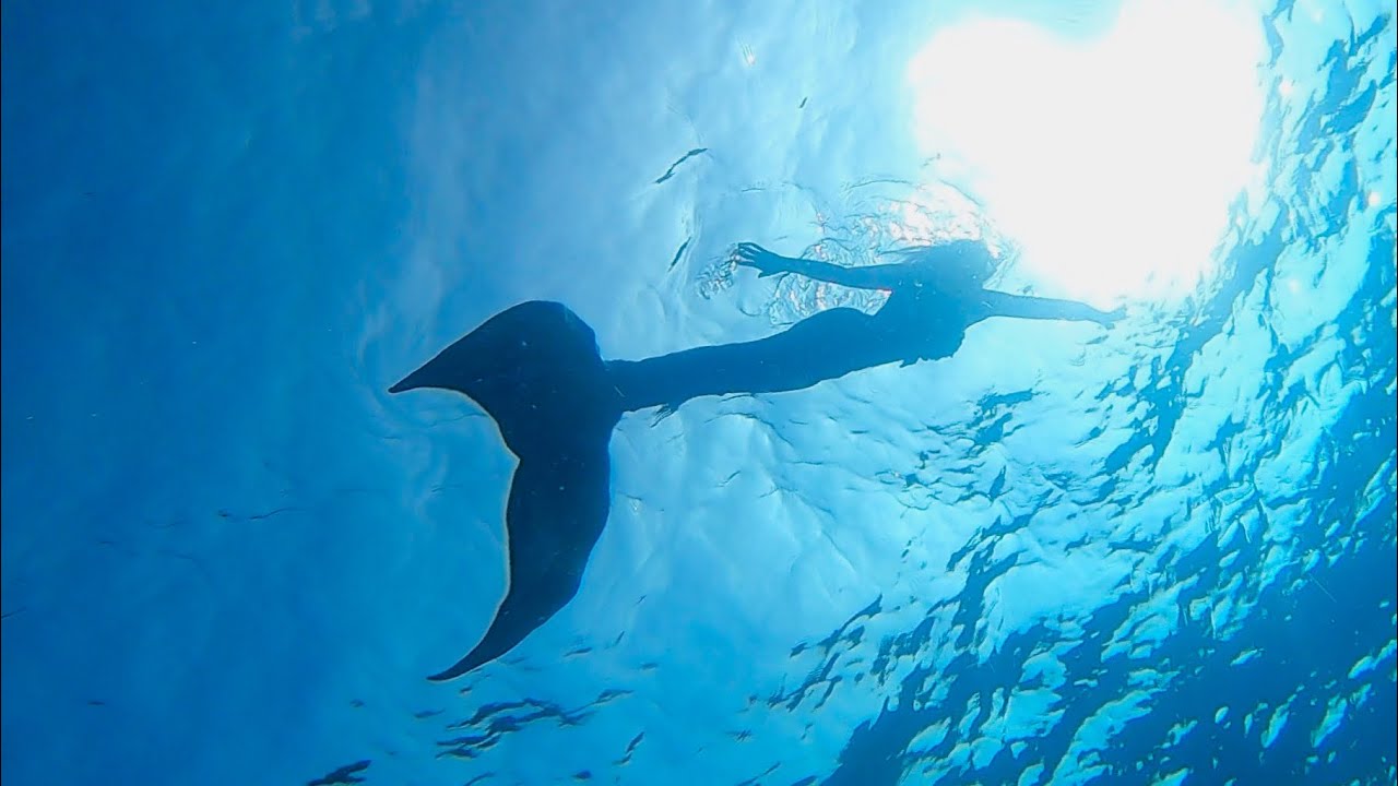 【Mermaid swim】《Mermaid swim Underwaterperformance team JAKANDSIRENA ...