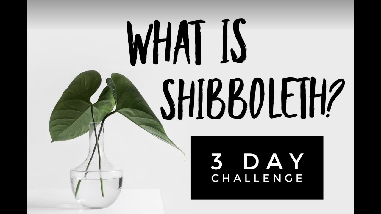 What is Shibboleth? 3 Day Challenge - YouTube