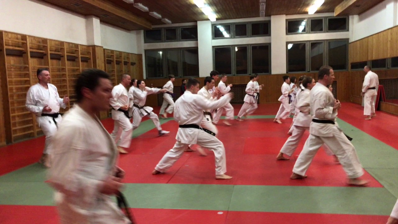 Richard Ruzicka - JKA Karate Training (select HD/4K) - YouTube