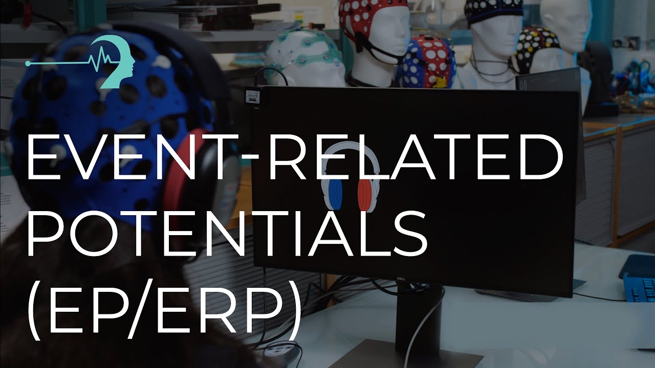 Event-related potentials (EP/ERP) in clinical EEG system Neurovisor ...