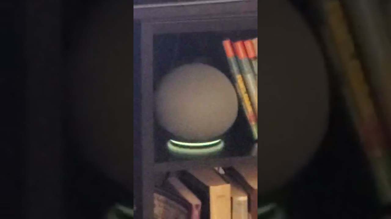 Amazon Echo: Spinning (Rotating) Blue/Cyan Light For Several Days Now ...