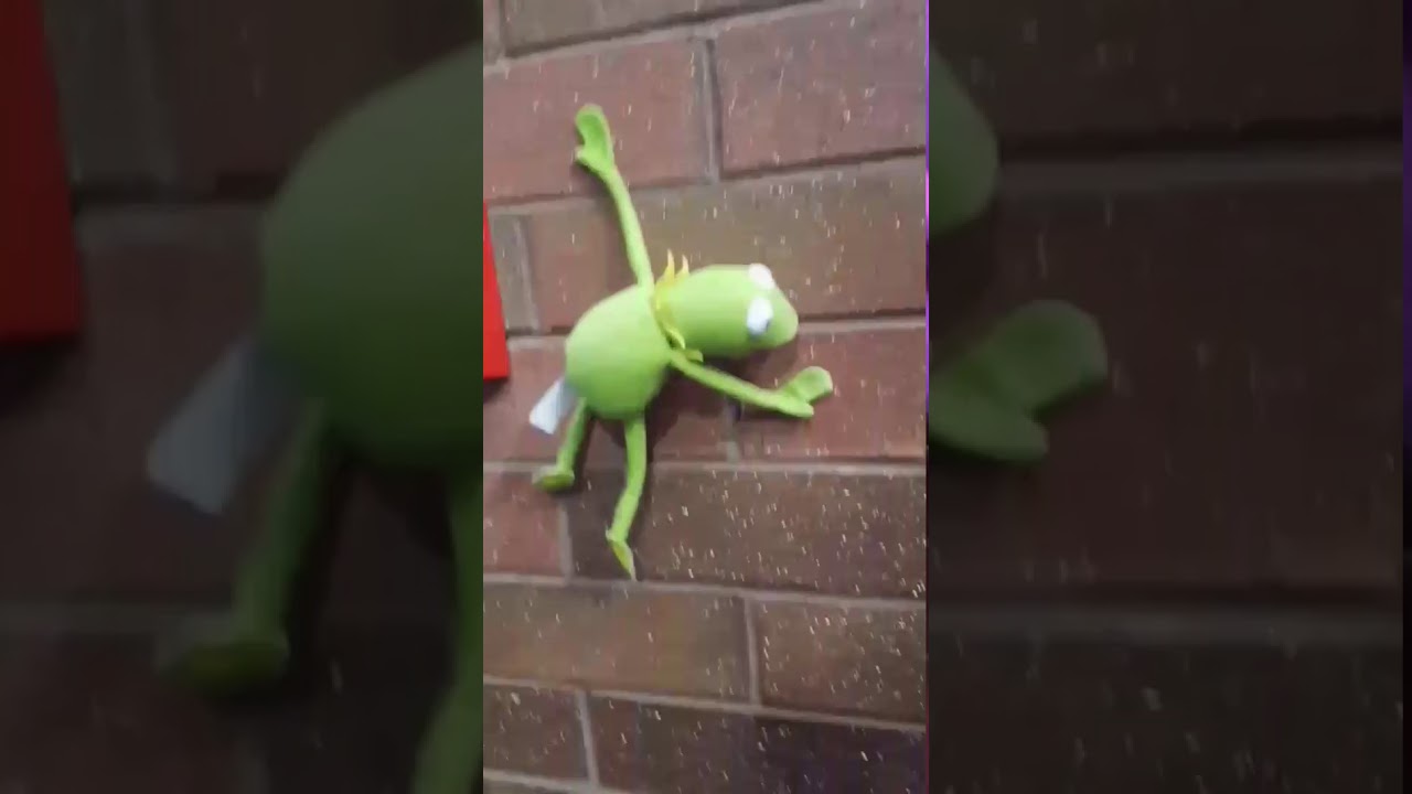 Spider Kermit!!! - YouTube