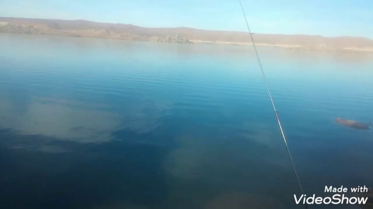 Brochet pêcher et relâché Barrage Hassan II Midelt - Zaida et ses ...