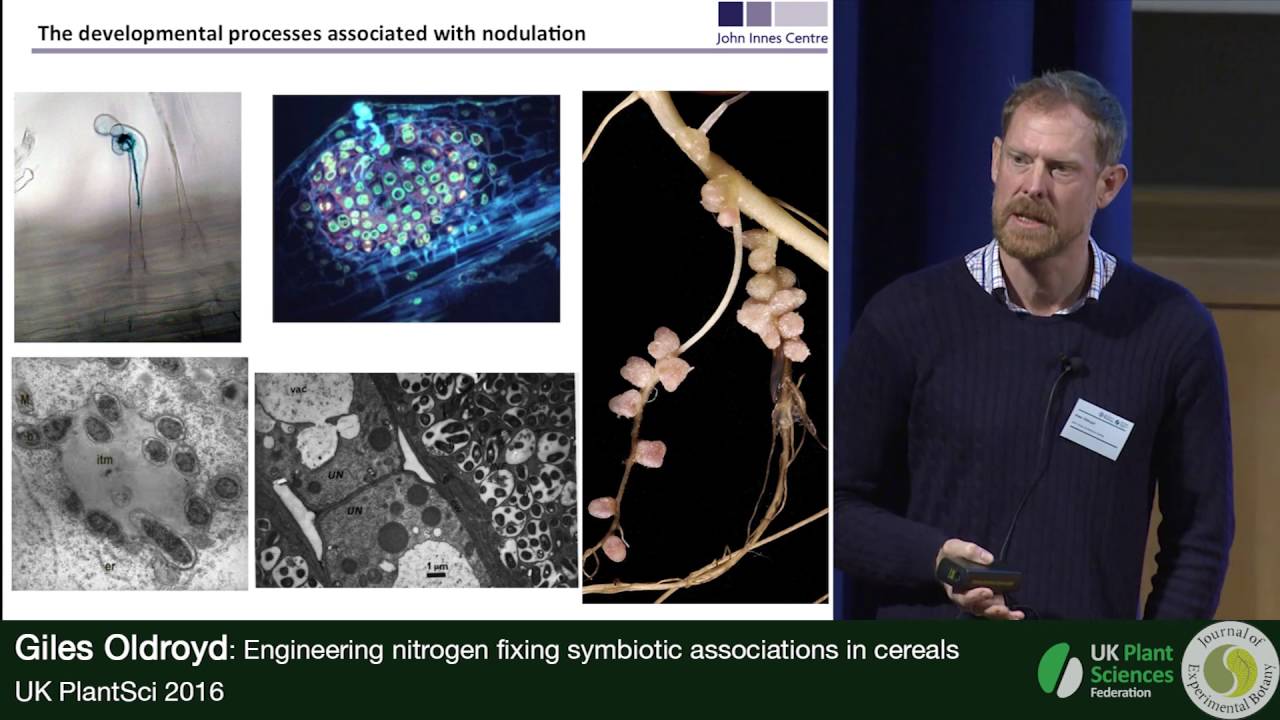 Giles Oldroyd. Engineering Nitrogen Fixing Symbiotic Associations in ...