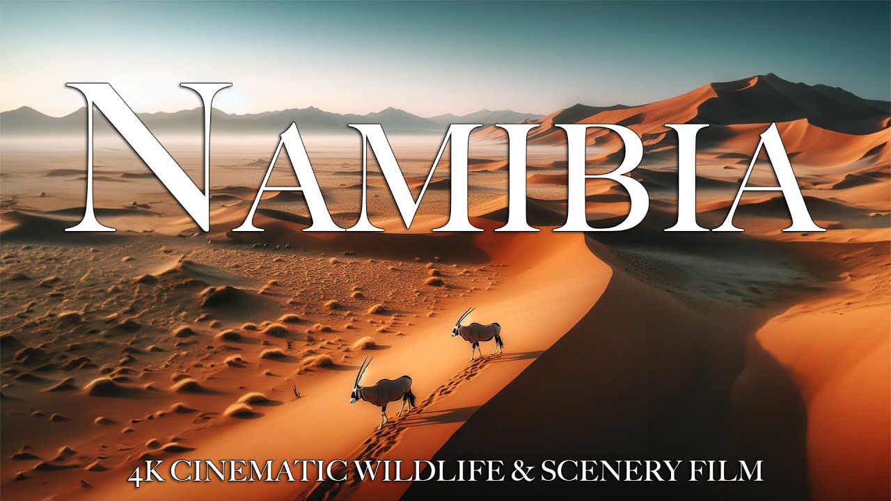 Namibia 4K - Cinematic Wildlife Film | Scenic Relaxation - YouTube