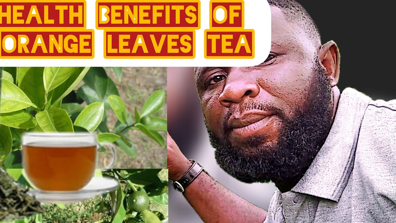 Health Benefits of Orange Leaves Tea - YouTube