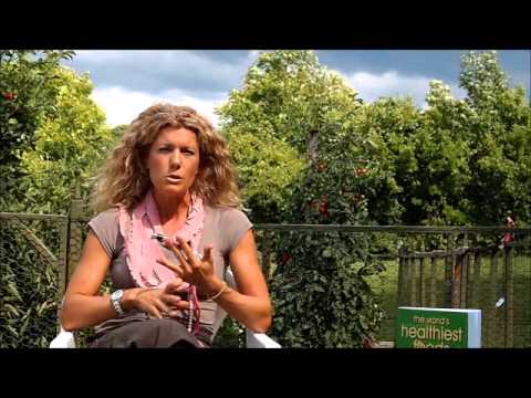 Healthy Uno | Meet Stephanie Bonetta - YouTube