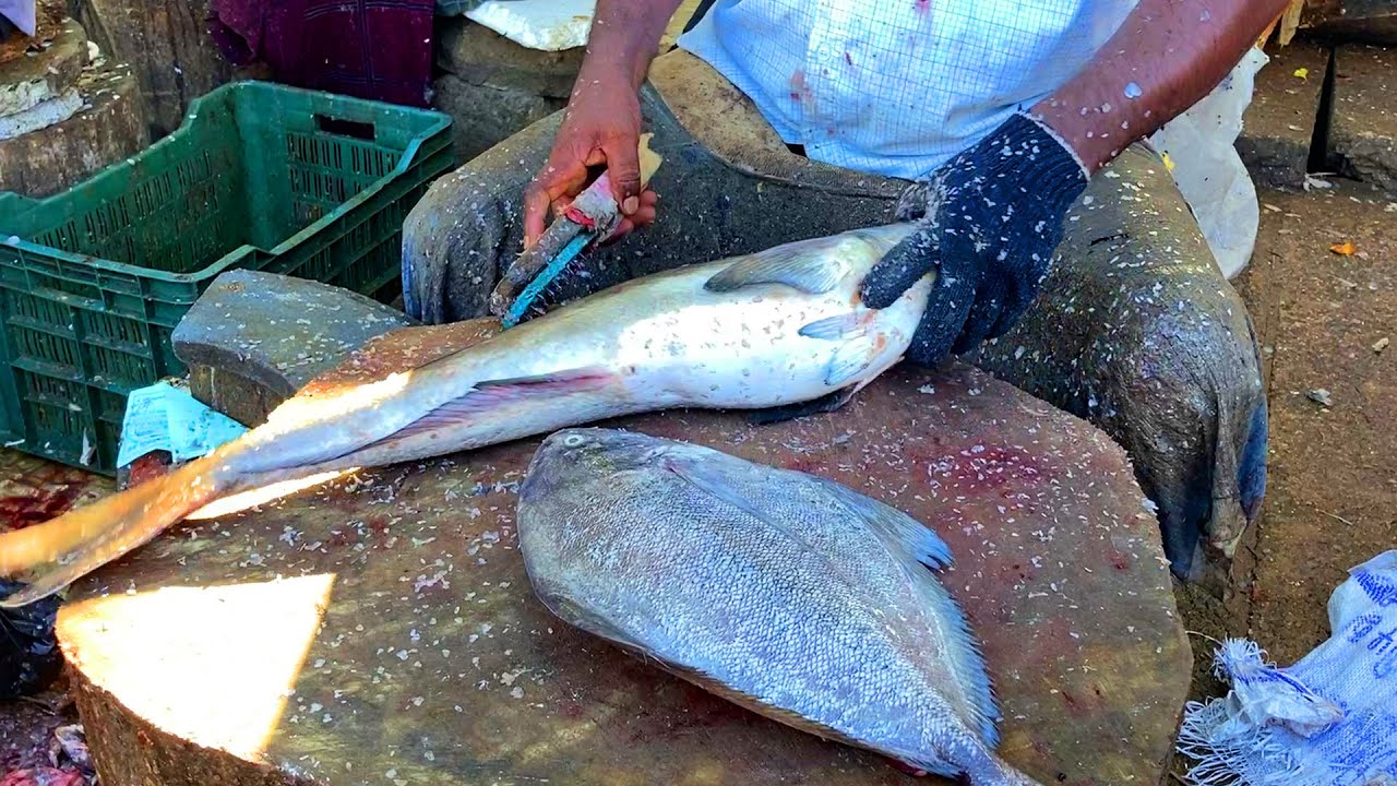 Expert Fish Cutting Show of Pomfret & Kadal Viral Fish Cutting in ...
