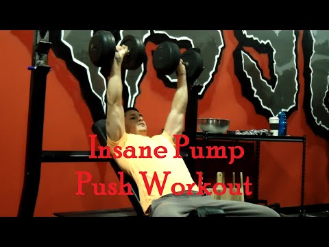 Insane Pump Push Workout - Chest, Shoulders, and Triceps