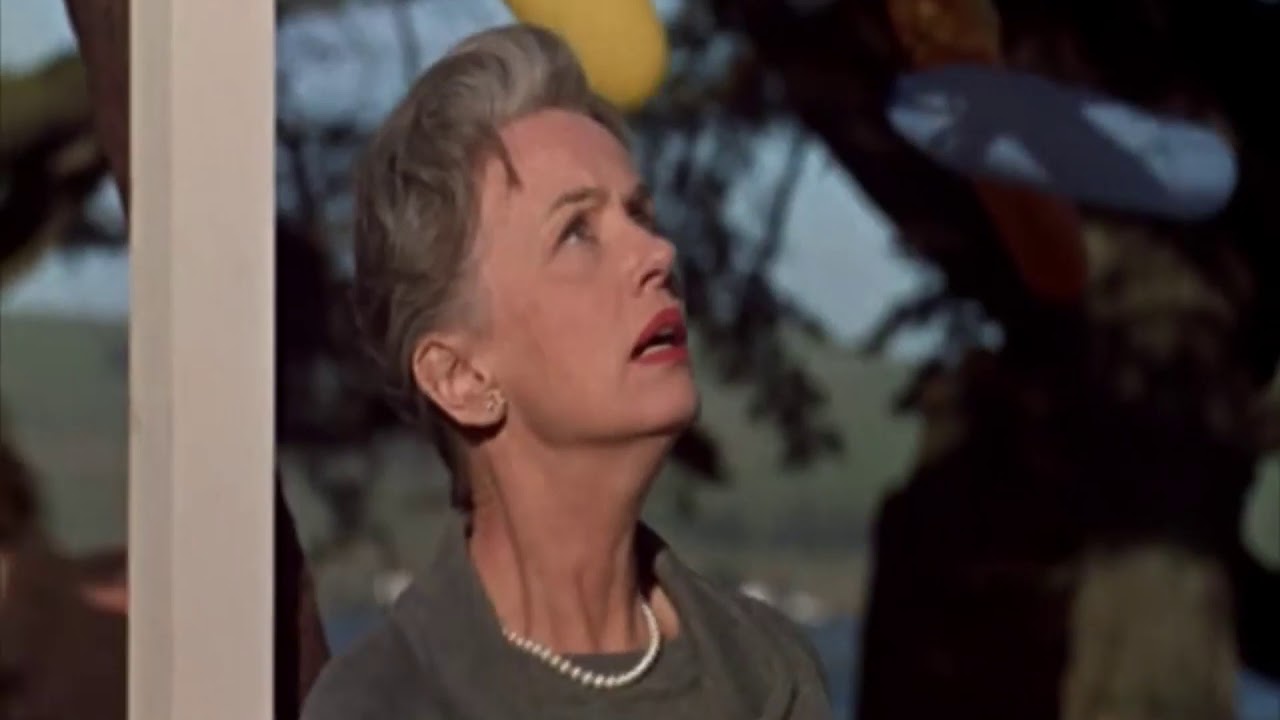 The birds escena - YouTube