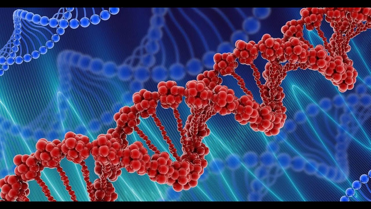 Люди,которые выглядят молодо, но ведут нездоровый образ жизни. Ресурс ...