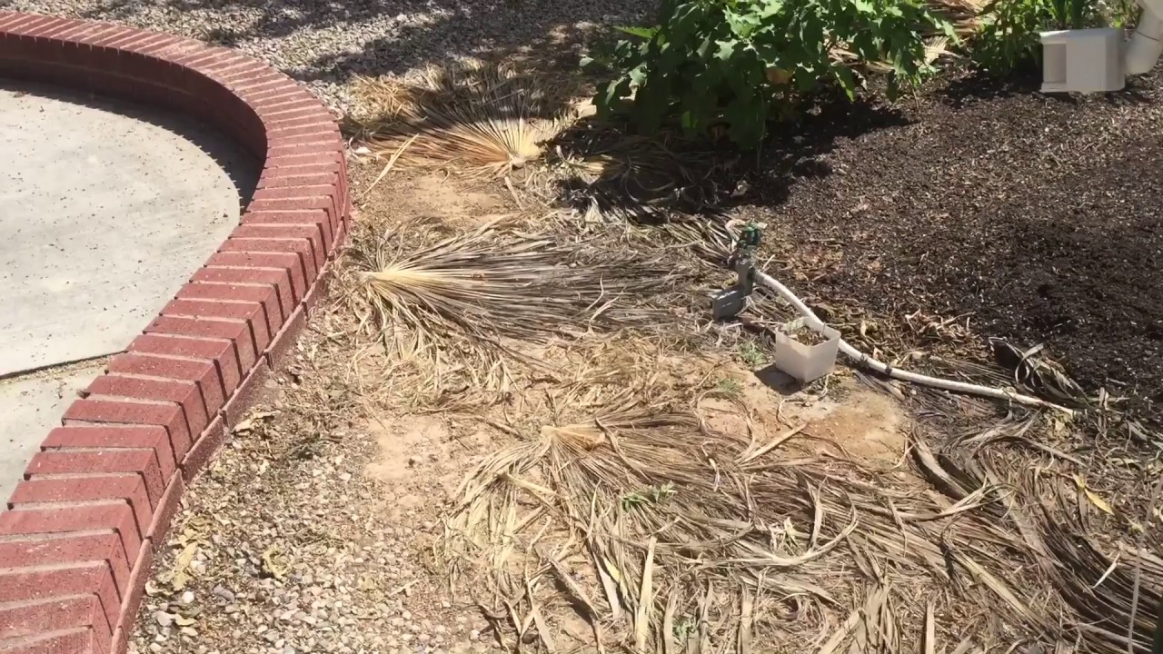 I built a microgreens rack - YouTube