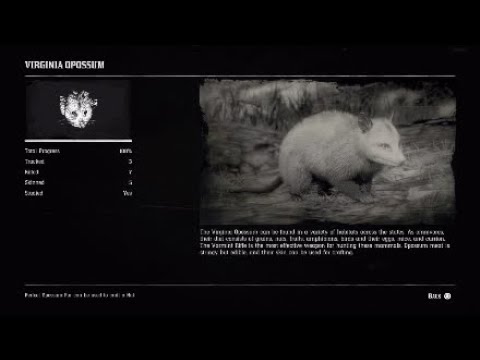 Rdr2 3 star perfect opossum carcass location - YouTube